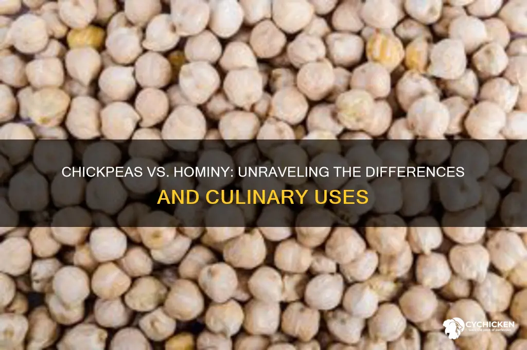 Chickpeas Vs. Hominy: Unraveling The Differences And Culinary Uses ...