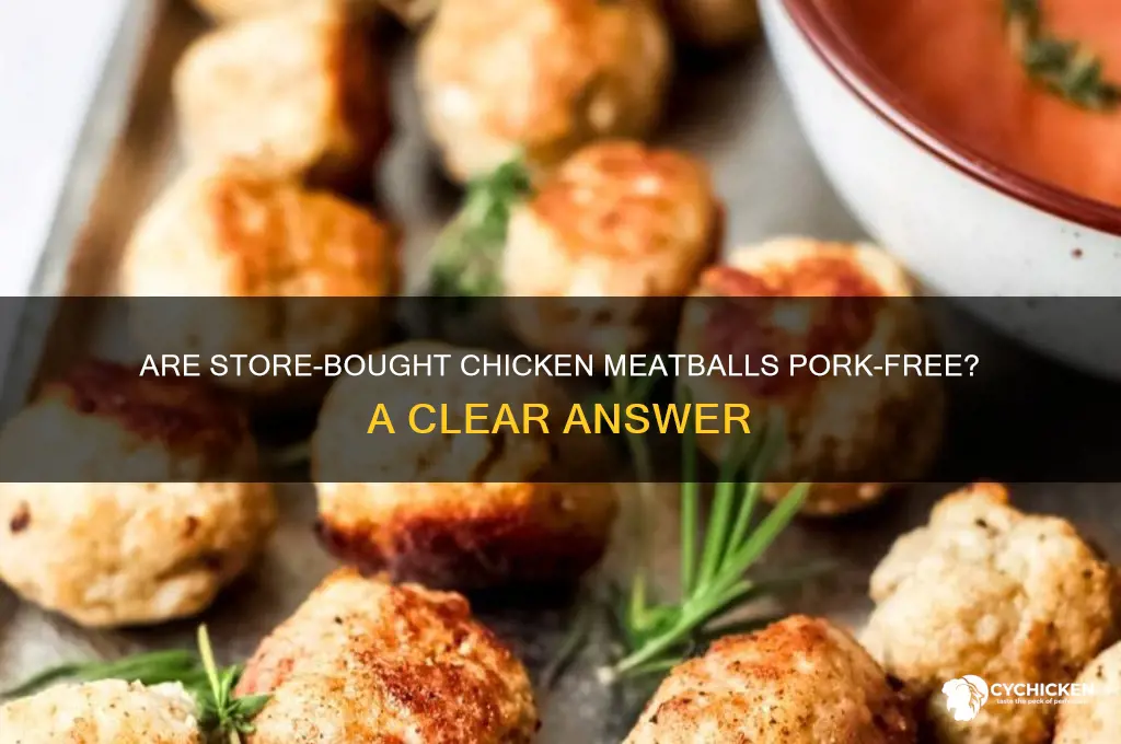 Are Store-Bought Chicken Meatballs Pork-Free? A Clear Answer | CyChicken