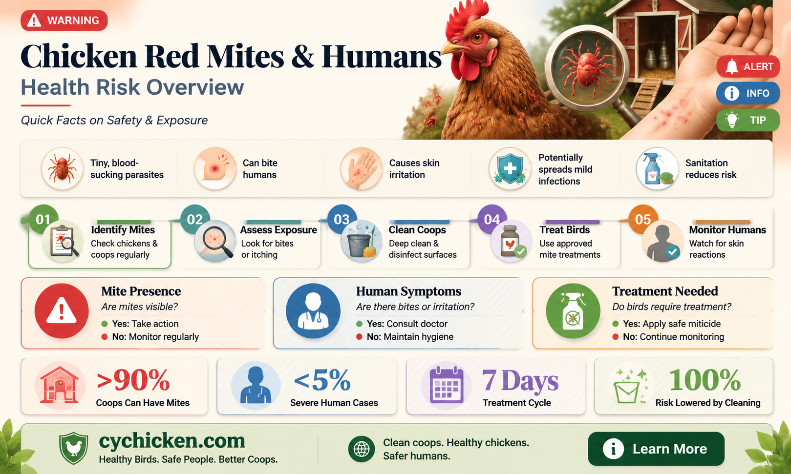 Are Chicken Red Mites A Health Risk For Humans? | CyChicken