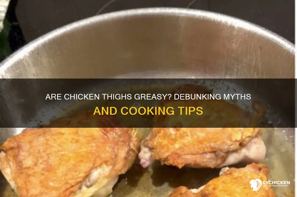 Are Chicken Thighs Greasy? Debunking Myths And Cooking Tips | CyChicken