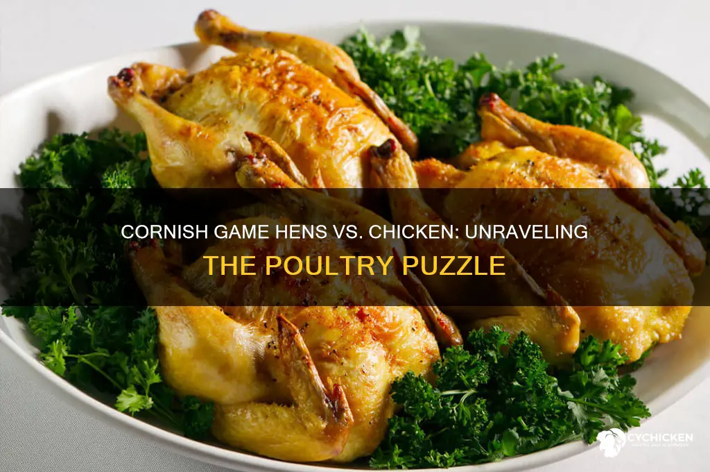 Cornish Game Hens Vs. Chicken: Unraveling The Poultry Puzzle | CyChicken