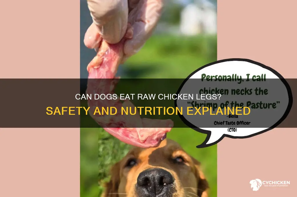 Can Dogs Eat Raw Chicken Legs? Safety And Nutrition Explained | CyChicken