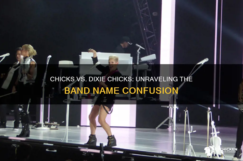 Chicks Vs. Dixie Chicks: Unraveling The Band Name Confusion | CyChicken