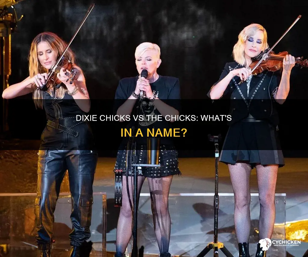 Dixie Chicks Vs The Chicks: What's In A Name? | CyChicken