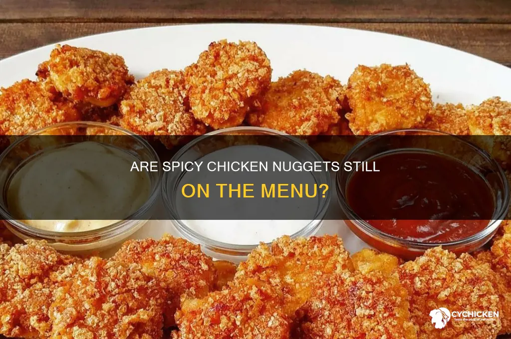 Are Spicy Chicken Nuggets Still On The Menu? | CyChicken
