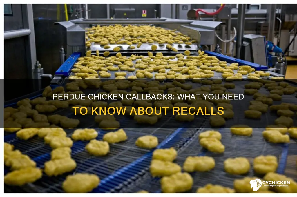 Perdue Chicken Callbacks: What You Need To Know About Recalls | CyChicken