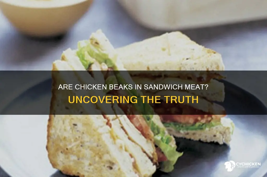 Are Chicken Beaks In Sandwich Meat? Uncovering The Truth | CyChicken