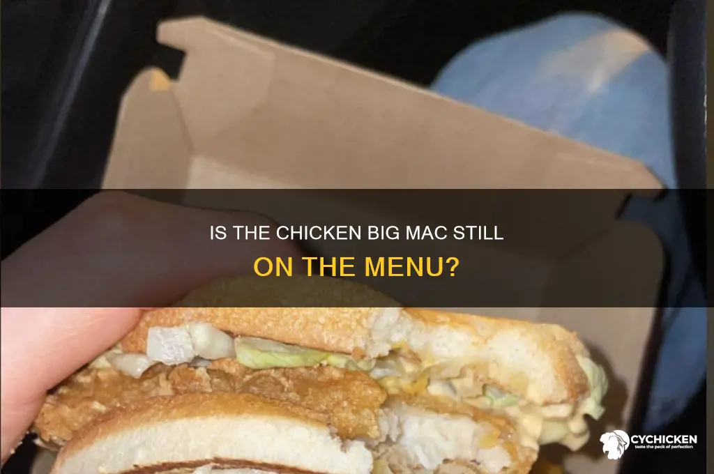 Is The Chicken Big Mac Still On The Menu? | CyChicken