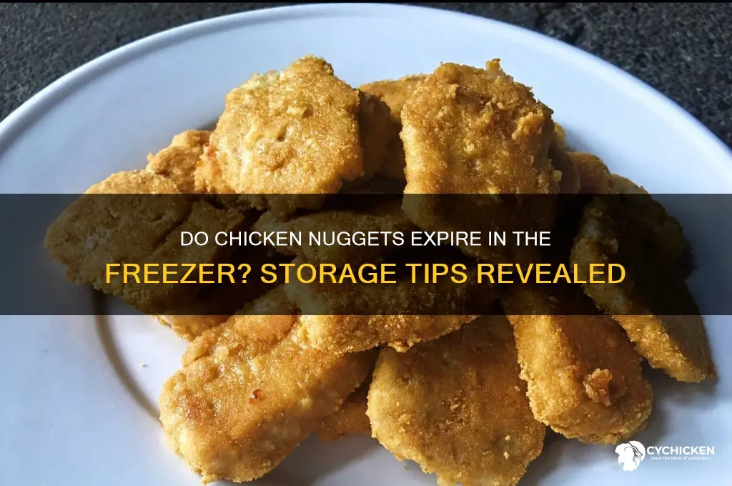 Do Chicken Nuggets Expire In The Freezer? Storage Tips Revealed | CyChicken