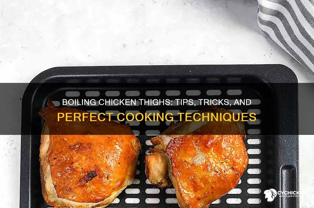 Boiling Chicken Thighs: Tips, Tricks, And Perfect Cooking Techniques ...