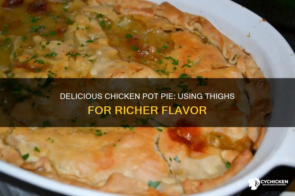 Delicious Chicken Pot Pie: Using Thighs For Richer Flavor | CyChicken