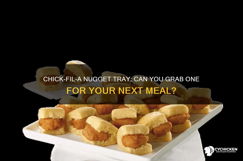 Chick-Fil-A Nugget Tray: Can You Grab One For Your Next Meal? | CyChicken