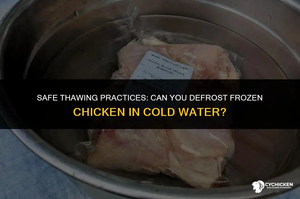 Safe Thawing Practices: Can You Defrost Frozen Chicken In Cold Water ...