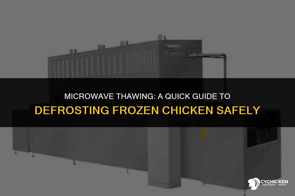 Microwave Thawing: A Quick Guide To Defrosting Frozen Chicken Safely ...