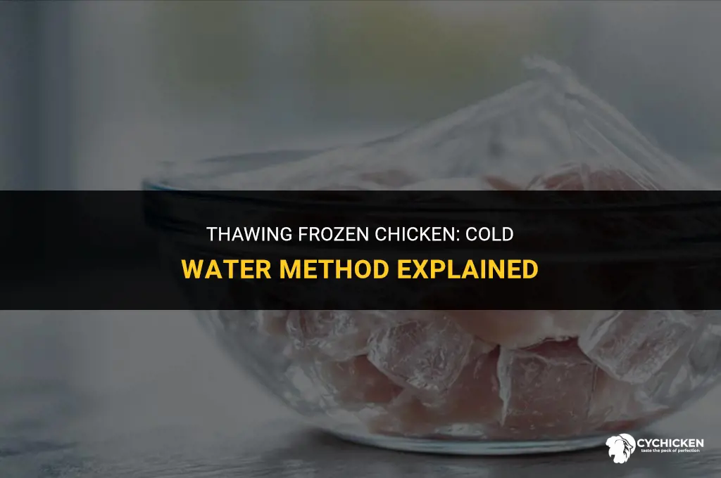 Thawing Frozen Chicken: Cold Water Method Explained | CyChicken