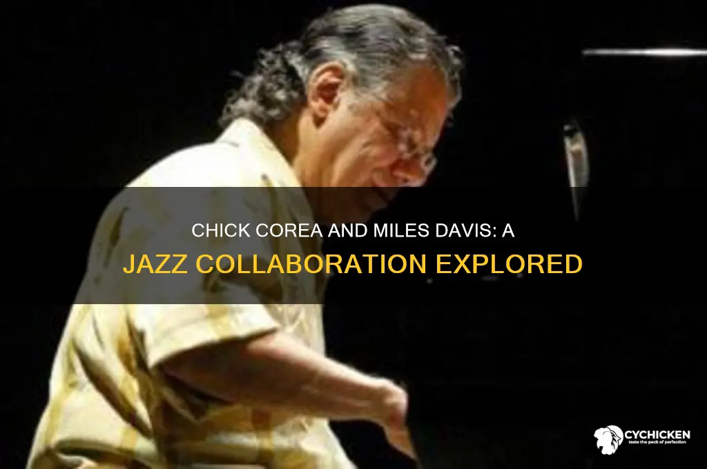 Chick Corea And Miles Davis: A Jazz Collaboration Explored | CyChicken