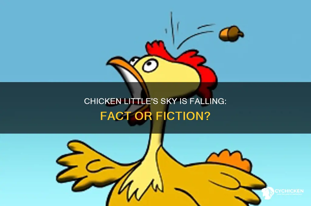 Chicken Little's Sky Is Falling: Fact Or Fiction? | CyChicken