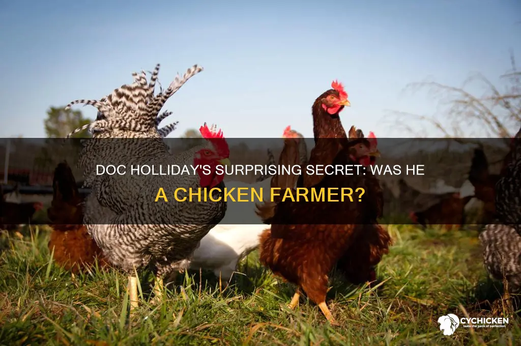 Doc Holliday's Surprising Secret: Was He A Chicken Farmer? | CyChicken