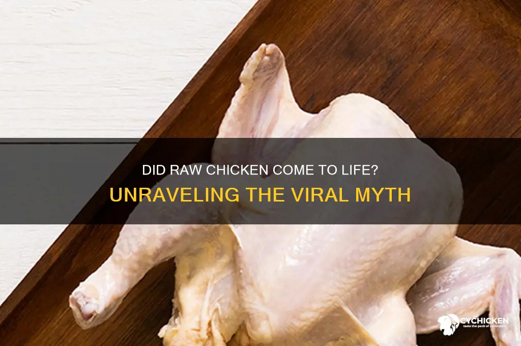 Did Raw Chicken Come To Life? Unraveling The Viral Myth | CyChicken