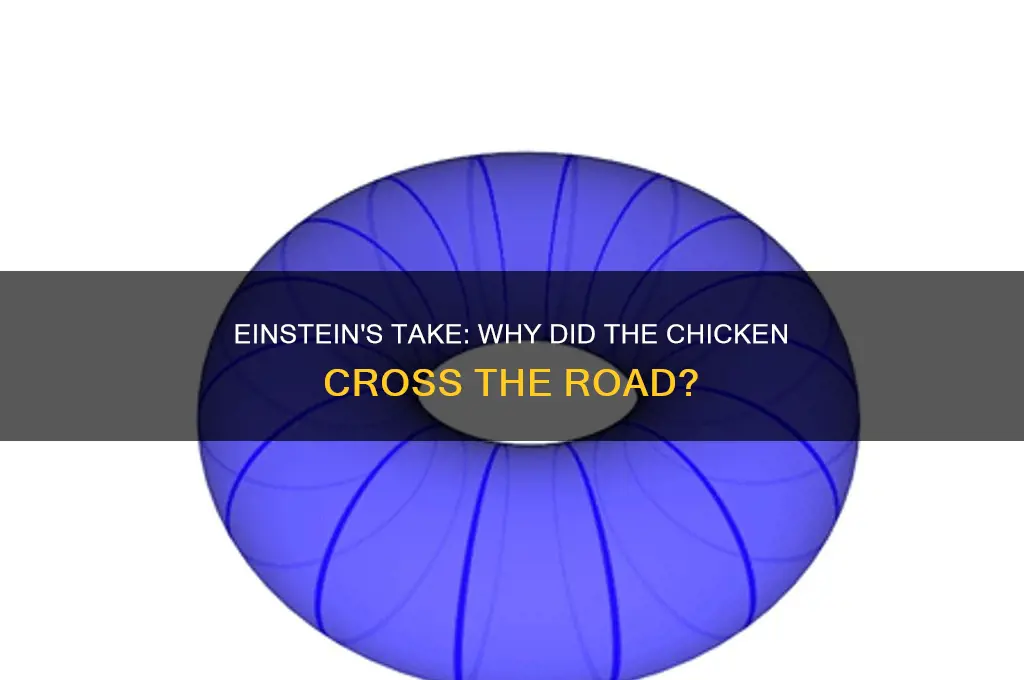 Einstein's Take: Why Did The Chicken Cross The Road? | CyChicken