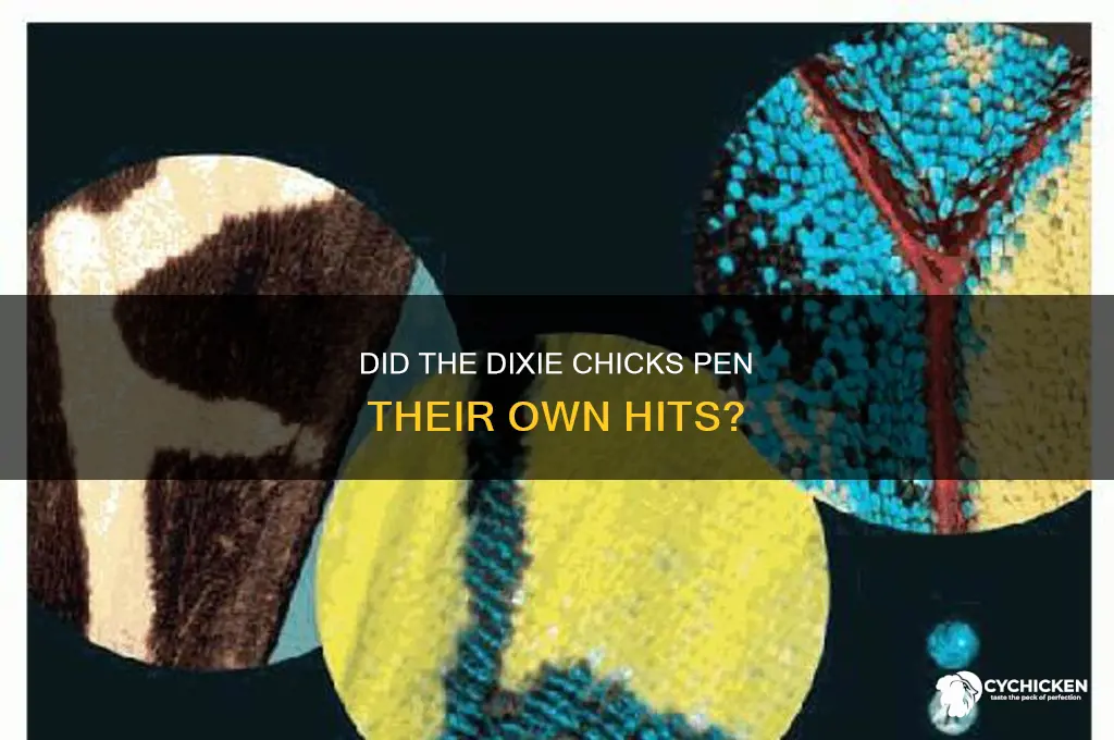 Did The Dixie Chicks Pen Their Own Hits? | CyChicken