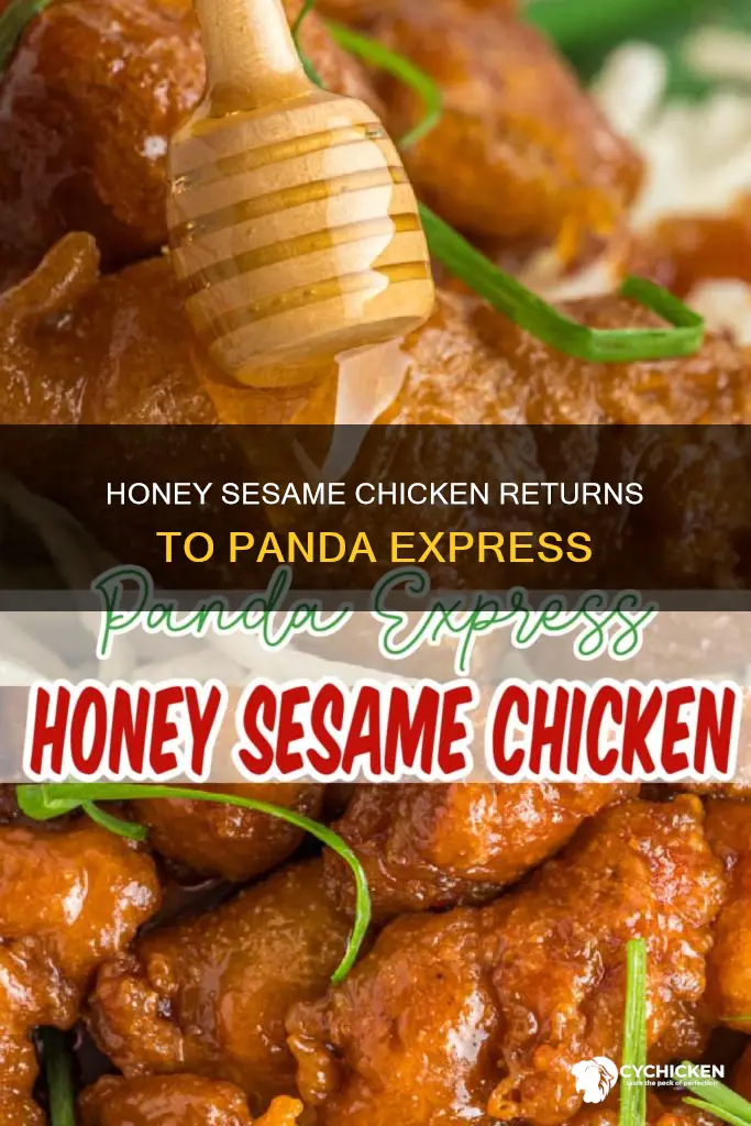 Honey Sesame Chicken Returns To Panda Express | CyChicken