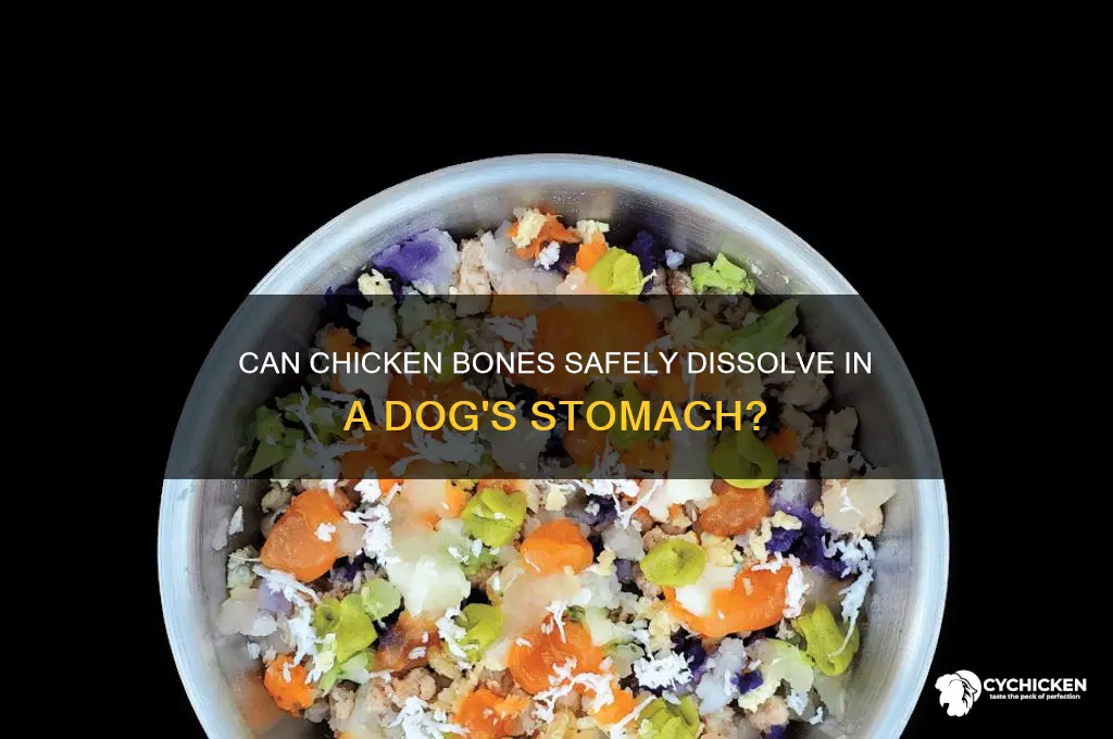 Can Chicken Bones Safely Dissolve In A Dog's Stomach? | CyChicken