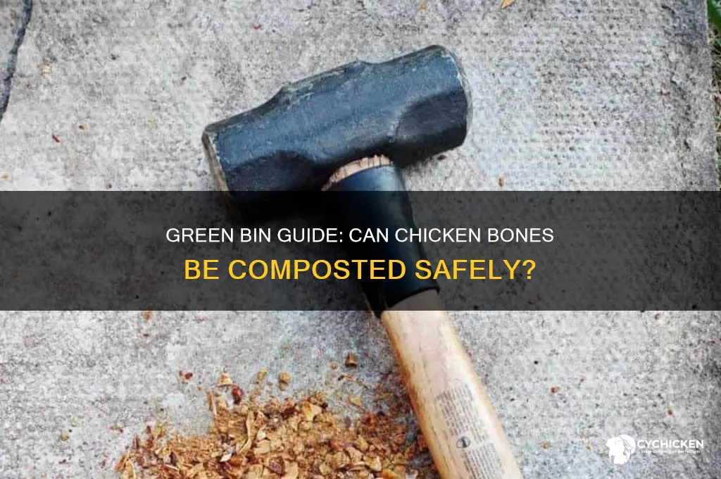 Green Bin Guide: Can Chicken Bones Be Composted Safely? | CyChicken