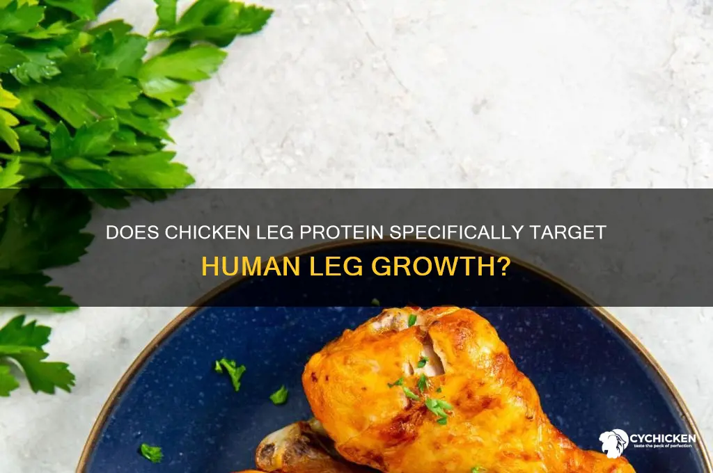 Does Chicken Leg Protein Specifically Target Human Leg Growth? | CyChicken