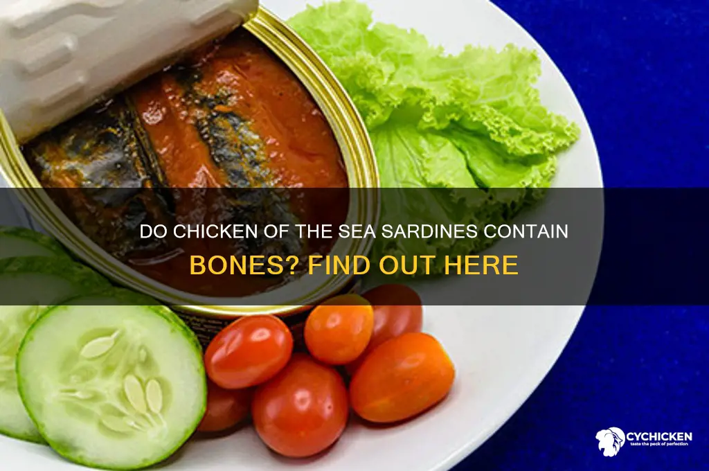 Do Chicken Of The Sea Sardines Contain Bones? Find Out Here | CyChicken