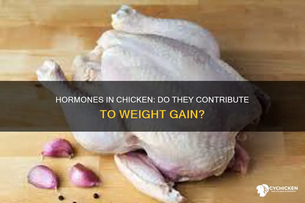 Hormones In Chicken: Do They Contribute To Weight Gain? | CyChicken