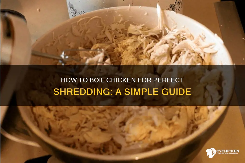 How To Boil Chicken For Perfect Shredding: A Simple Guide | CyChicken