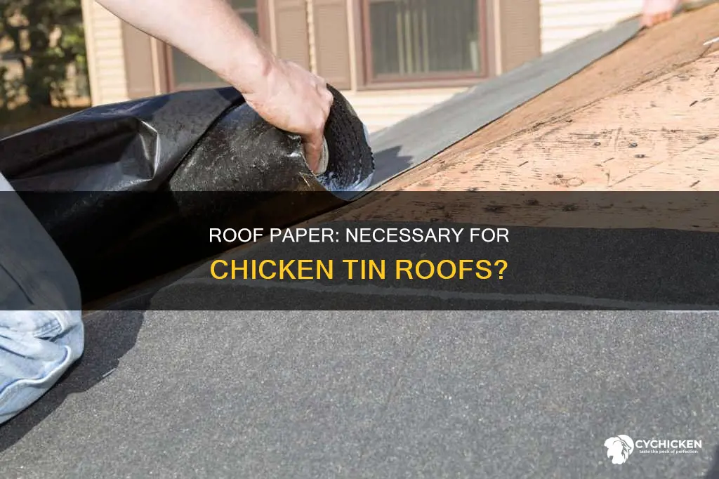 Roof Paper: Necessary For Chicken Tin Roofs? | CyChicken