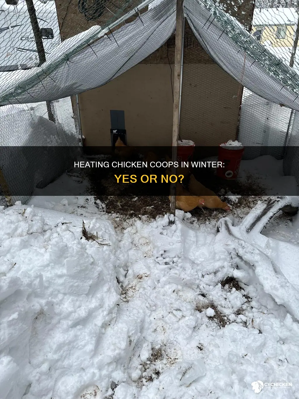 Heating Chicken Coops In Winter: Yes Or No? | CyChicken