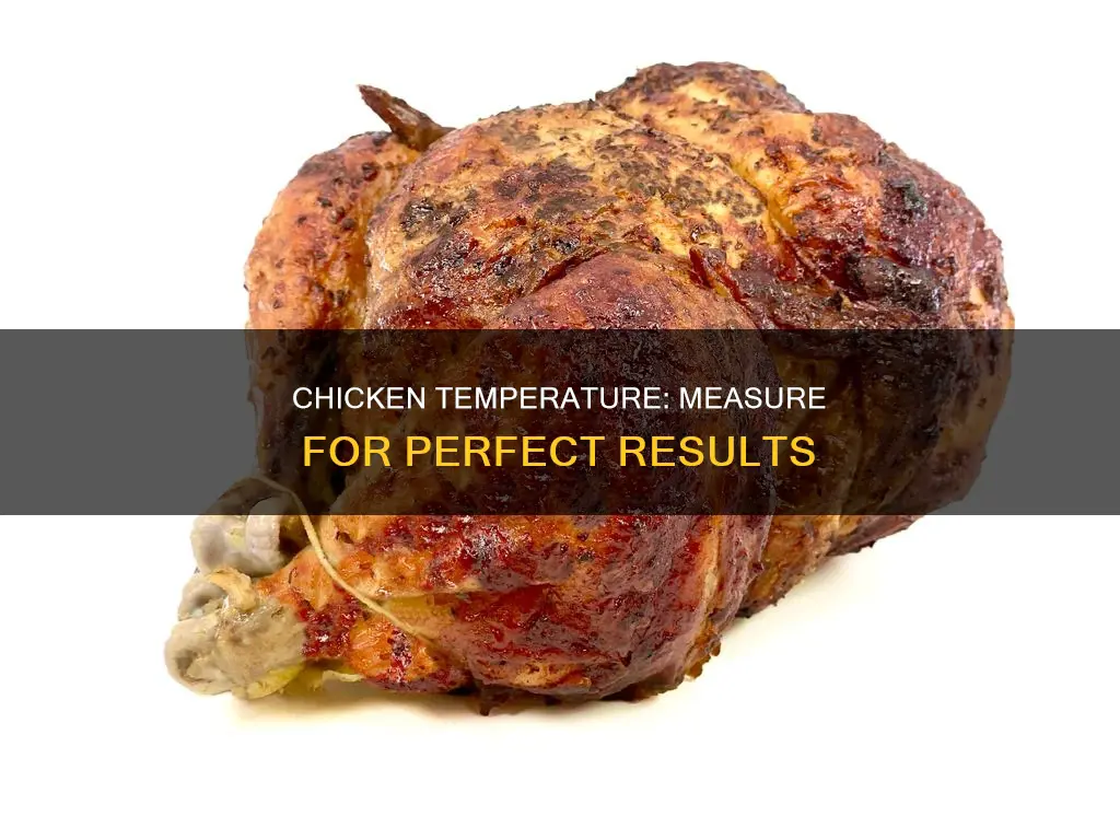 Chicken Temperature: Measure For Perfect Results | CyChicken