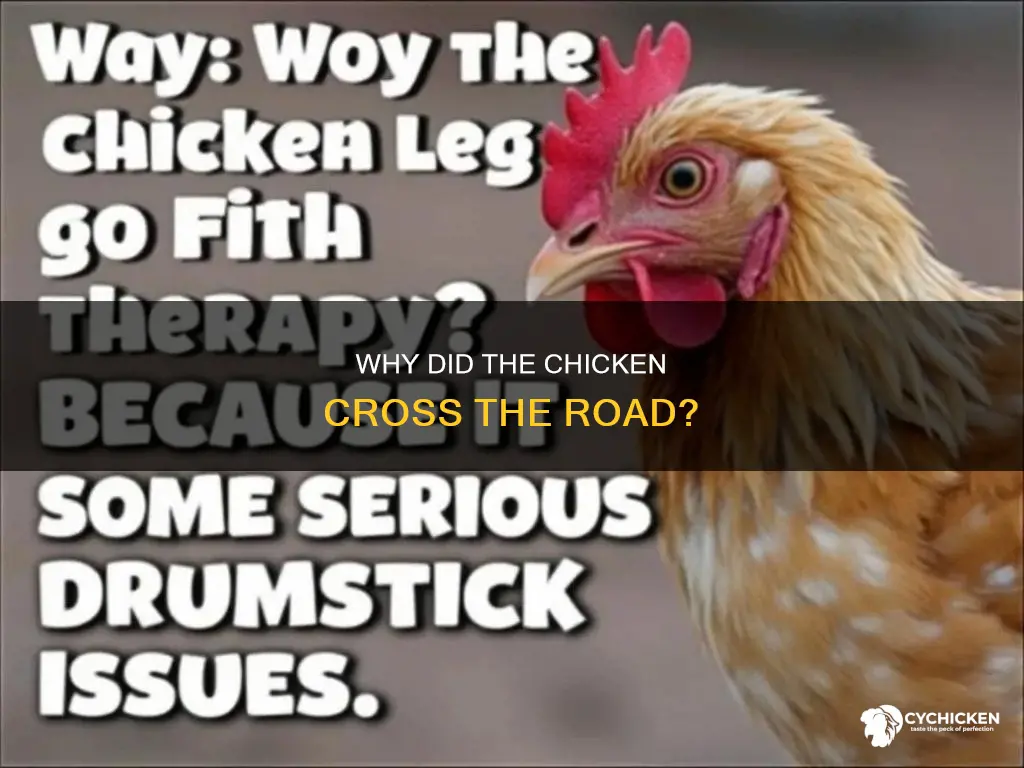 Why Did The Chicken Cross The Road? | CyChicken