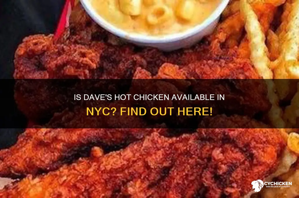 Is Dave's Hot Chicken Available In Nyc? Find Out Here! | CyChicken