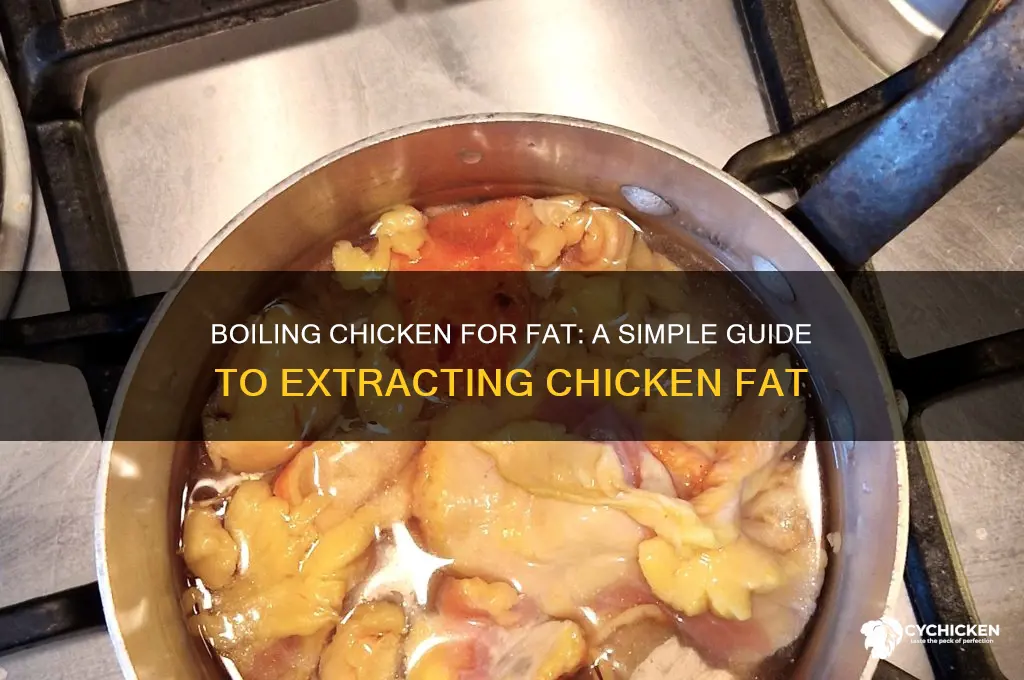 Boiling Chicken For Fat: A Simple Guide To Extracting Chicken Fat ...