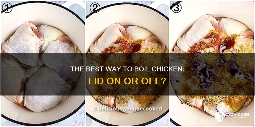 The Best Way To Boil Chicken: Lid On Or Off? | CyChicken