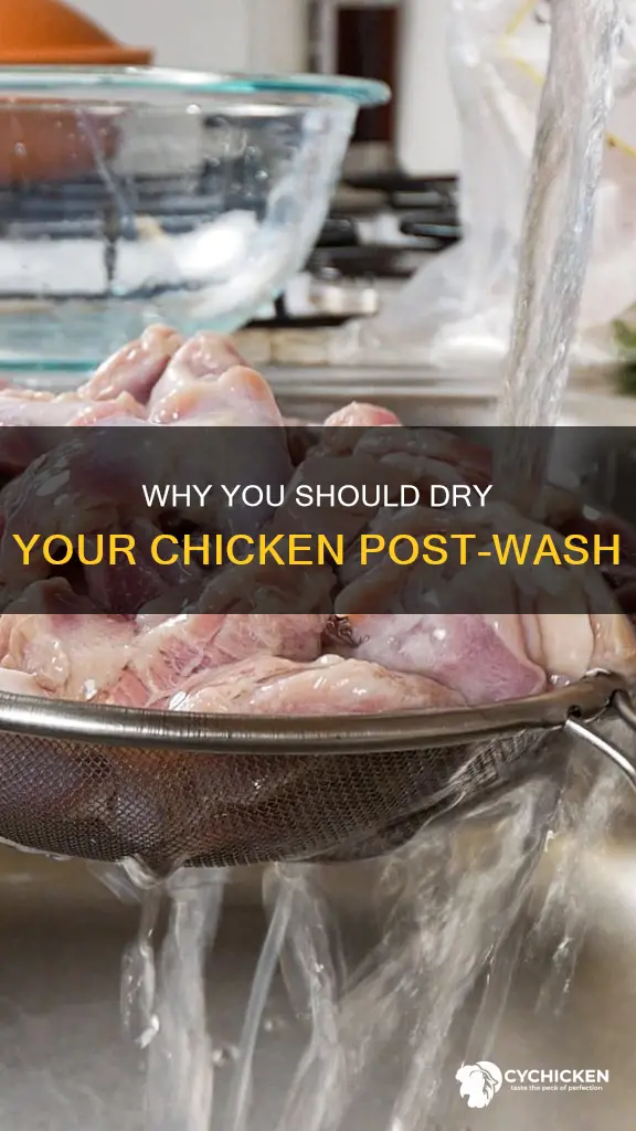Why You Should Dry Your Chicken Post-Wash | CyChicken