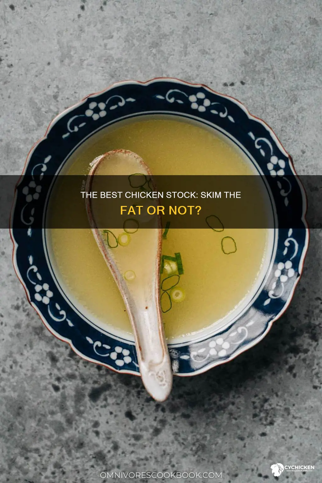 The Best Chicken Stock: Skim The Fat Or Not? | CyChicken