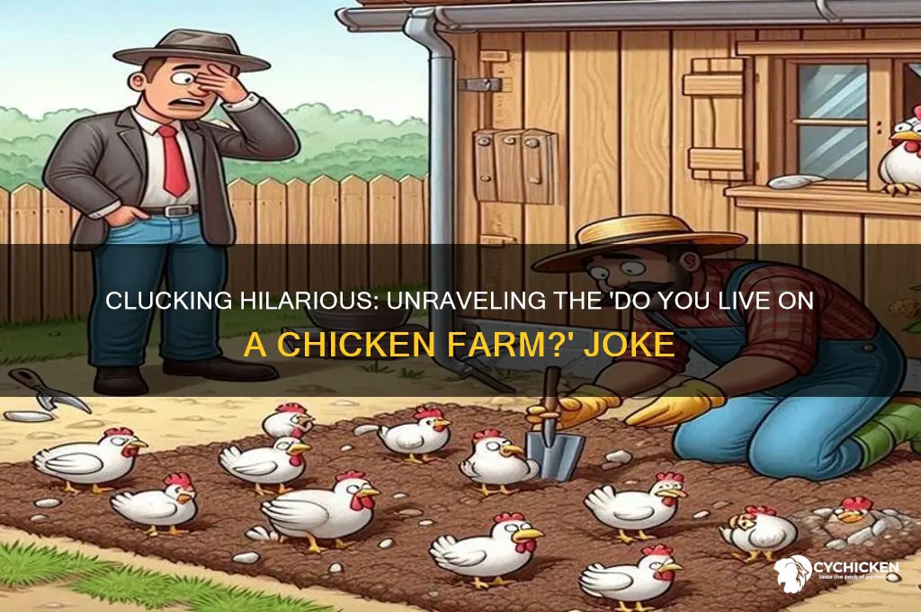 Clucking Hilarious: Unraveling The 'Do You Live On A Chicken Farm ...