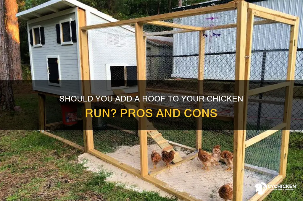 Should You Add A Roof To Your Chicken Run? Pros And Cons | CyChicken