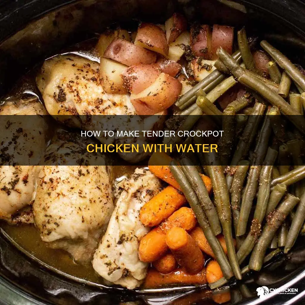How To Make Tender Crockpot Chicken With Water | CyChicken