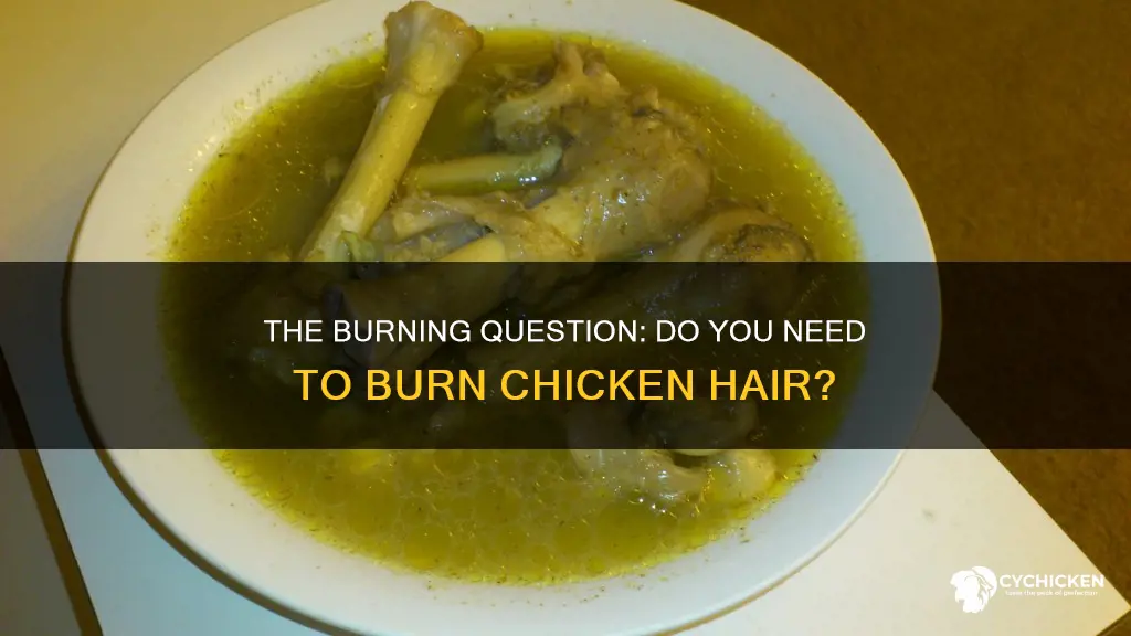 The Burning Question: Do You Need To Burn Chicken Hair? | CyChicken