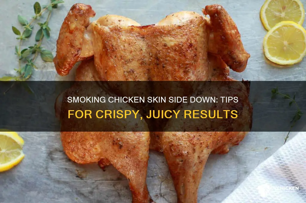 Smoking Chicken Skin Side Down: Tips For Crispy, Juicy Results | CyChicken