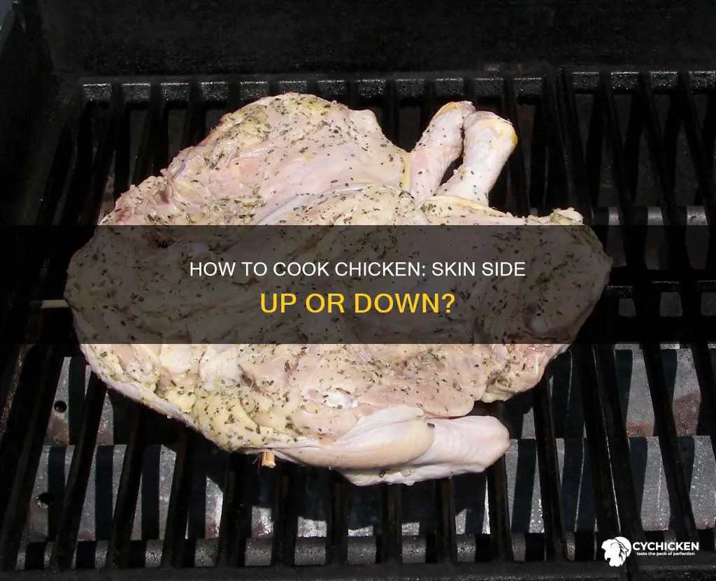 How To Cook Chicken: Skin Side Up Or Down? | CyChicken