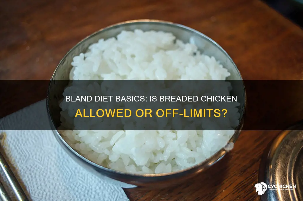 Bland Diet Basics: Is Breaded Chicken Allowed Or Off-Limits? | CyChicken