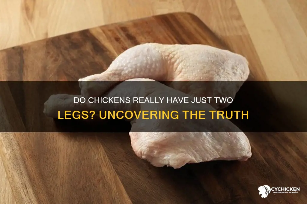 Do Chickens Really Have Just Two Legs? Uncovering The Truth | CyChicken