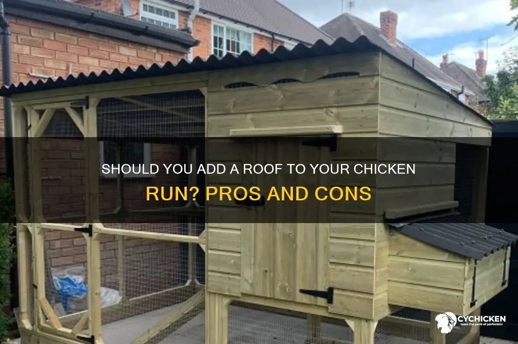 Should You Add A Roof To Your Chicken Run? Pros And Cons | CyChicken